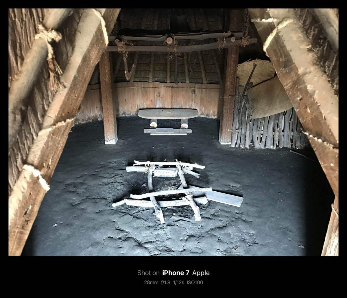 静岡市立登呂博物館 / Shizuoka City Toro Museum(Shizuoka, Japan)｜N.Hagimoto