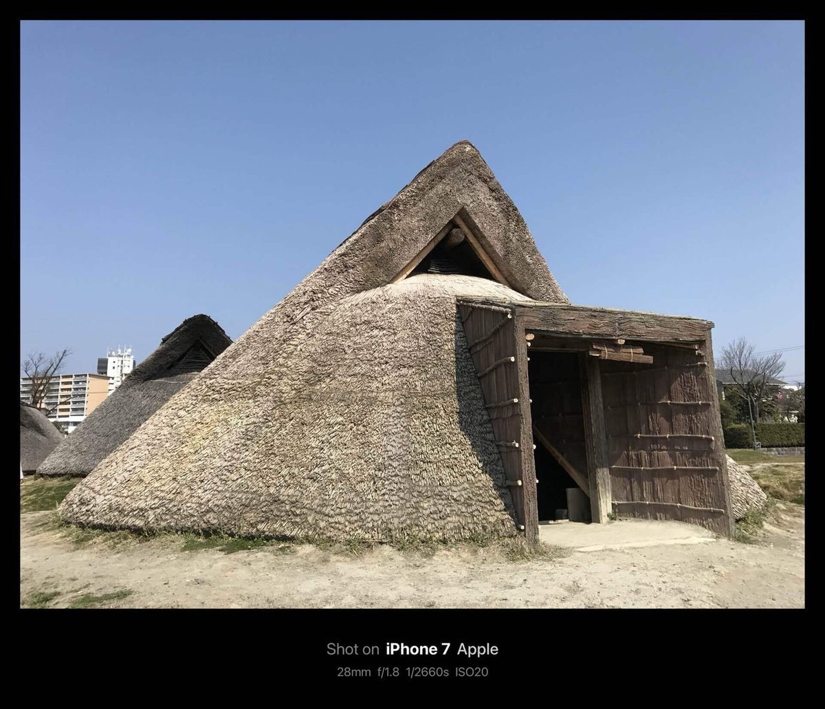 静岡市立登呂博物館 / Shizuoka City Toro Museum(Shizuoka, Japan)｜N.Hagimoto