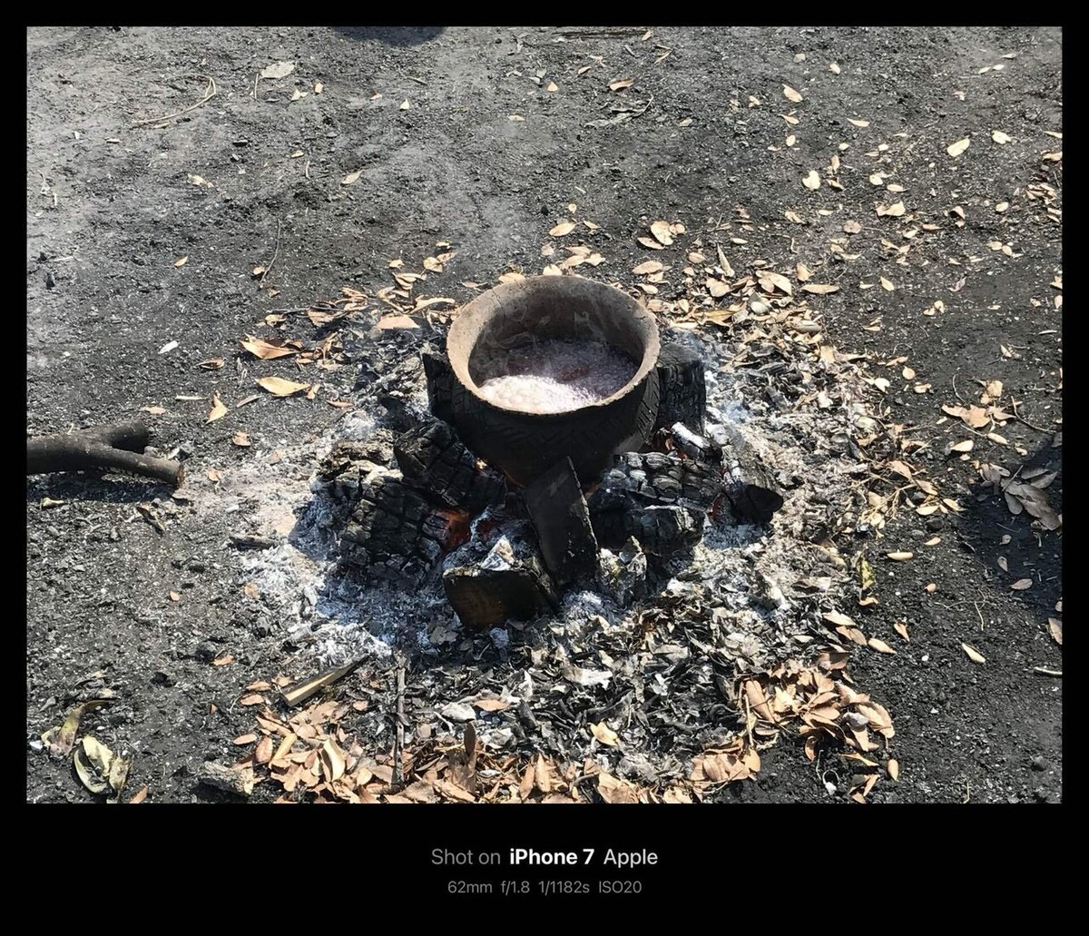 静岡市立登呂博物館 / Shizuoka City Toro Museum(Shizuoka, Japan)｜N.Hagimoto