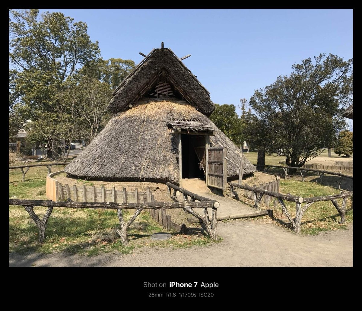 静岡市立登呂博物館 / Shizuoka City Toro Museum(Shizuoka, Japan)｜N.Hagimoto
