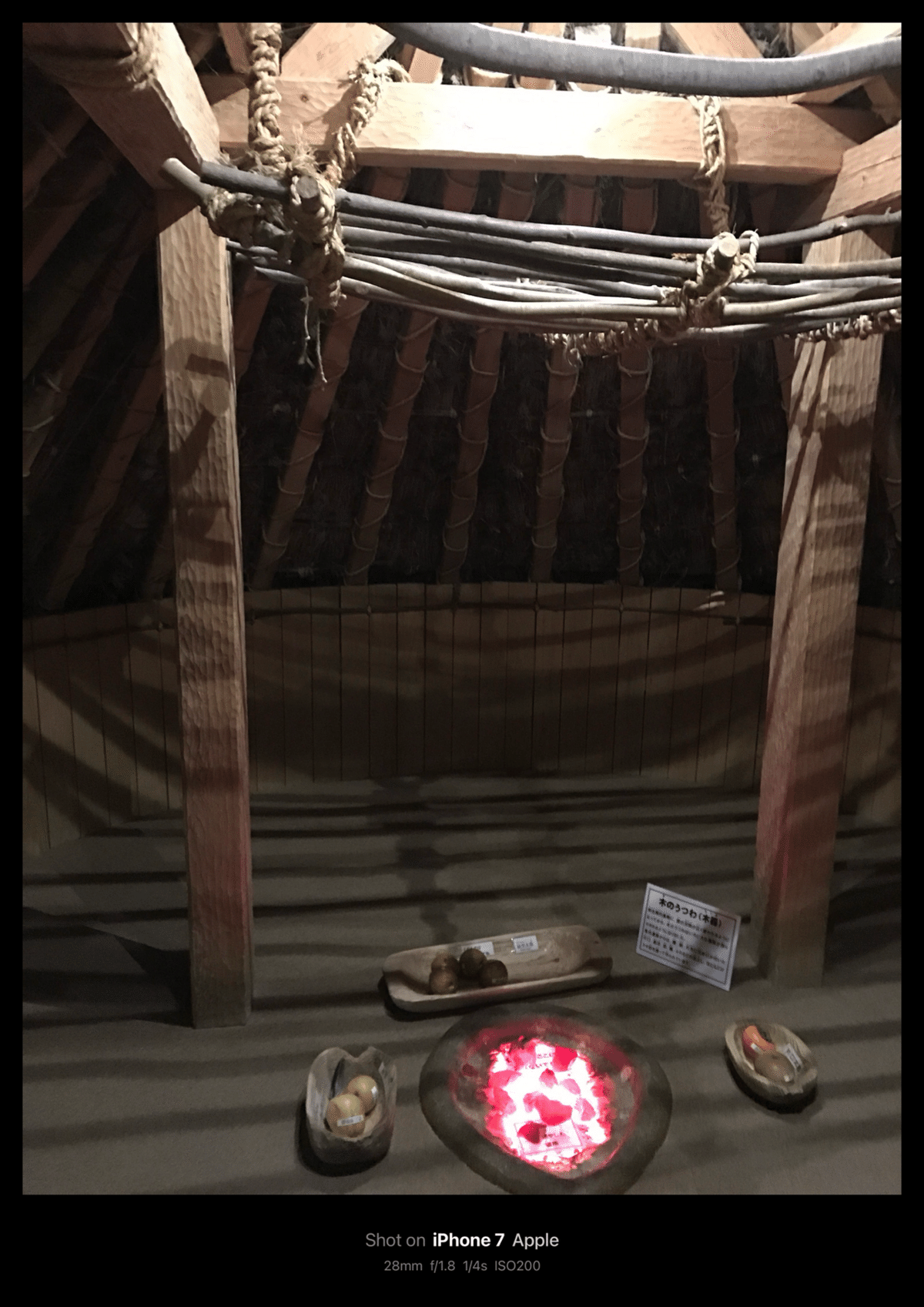 静岡市立登呂博物館 / Shizuoka City Toro Museum(Shizuoka, Japan)｜N.Hagimoto