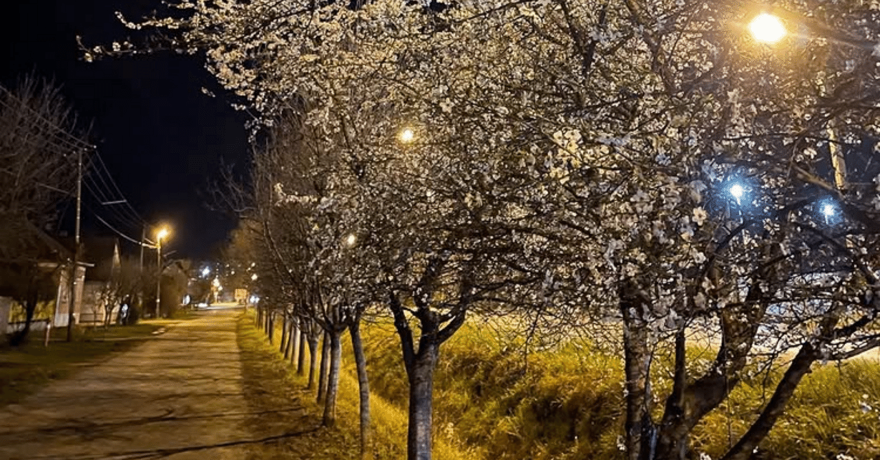 【中学英語文法シリーズ①】「五文型」｜liyin_eigo