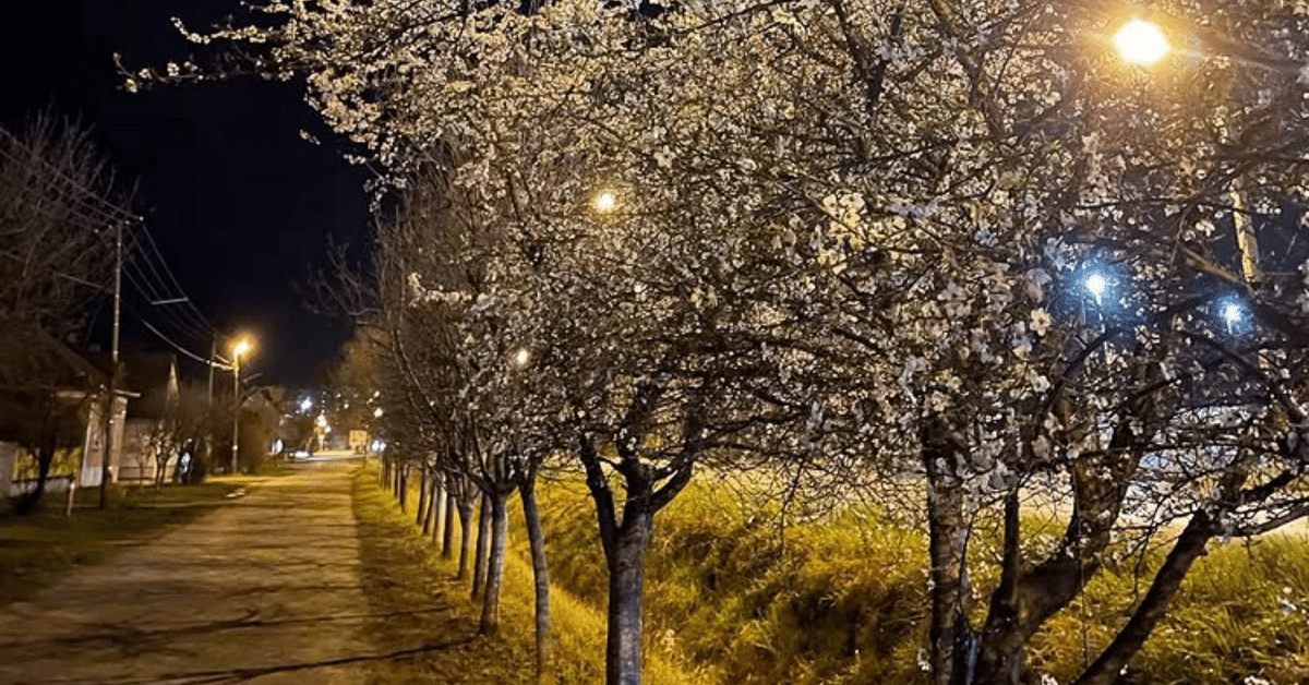 【中学英語文法シリーズ①】「五文型」｜liyin_eigo