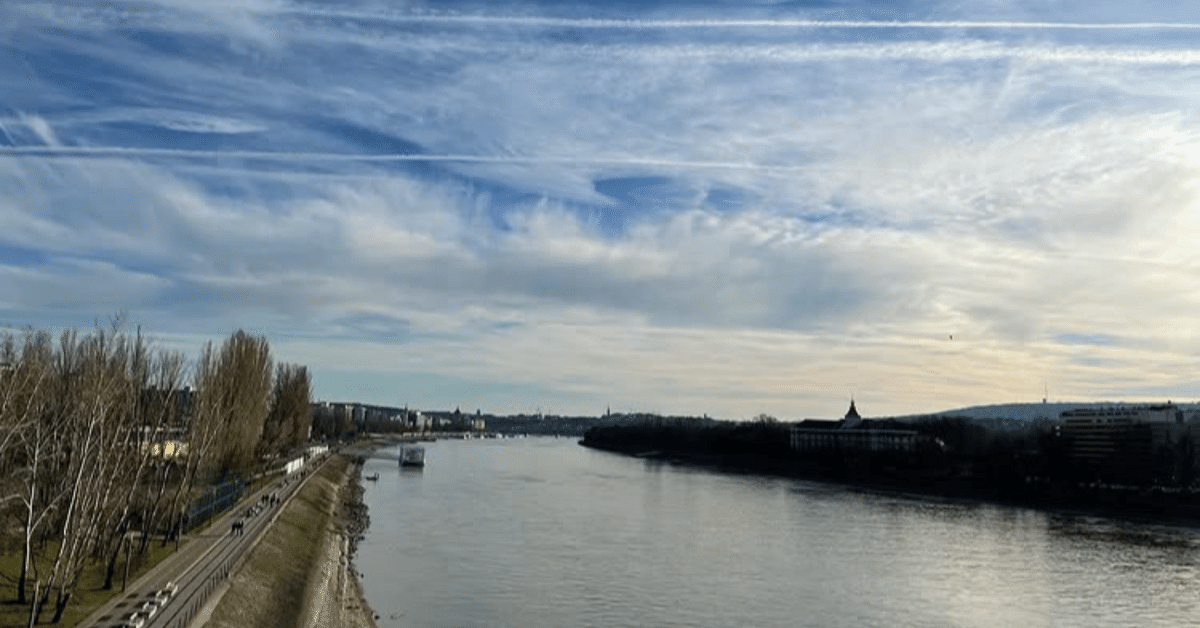 【中学英語文法シリーズ②】「第一文型（SV）」｜liyin_eigo