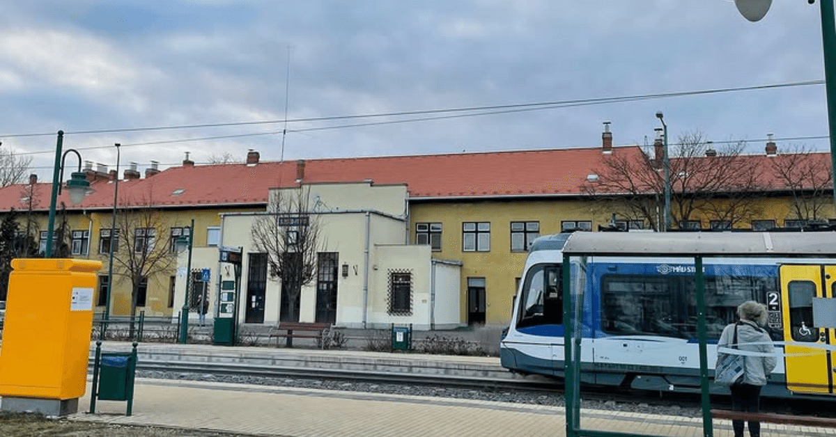 【中学英語文法シリーズ③】「第二文型（SVC）」｜liyin_eigo