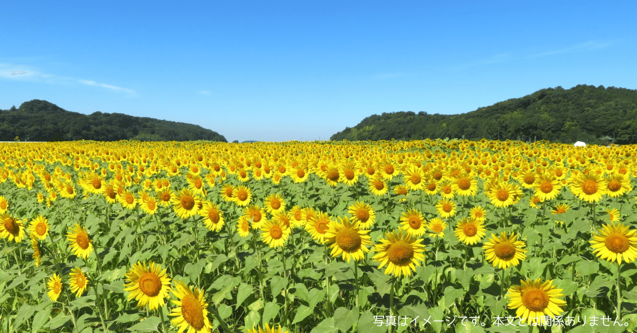 LNEMはどこの国のブランド？サーキュレーター│USB給電式 壁掛け 5枚羽 細かい風｜どこの国のメーカーなの？フォロバ100