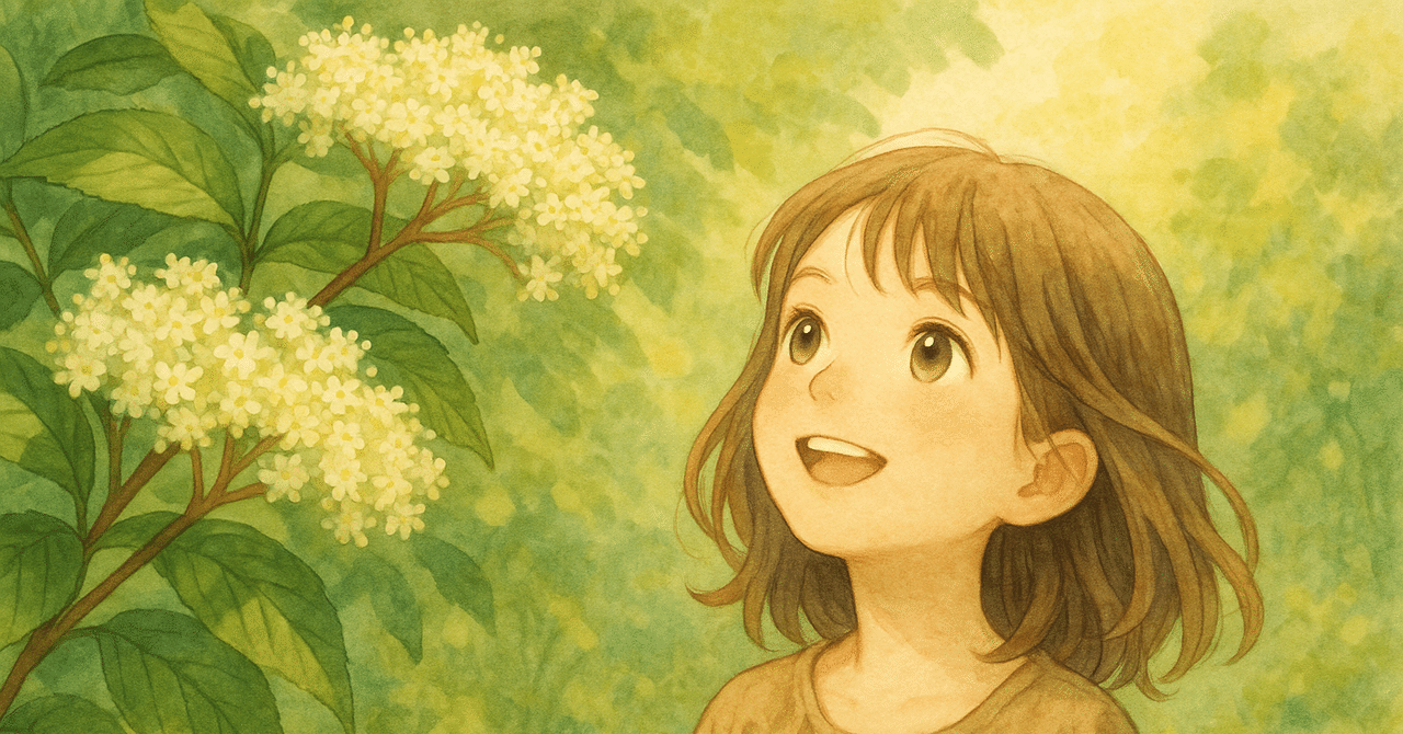 エルダーフラワー 現世と幽世の境界に咲く植物｜Ryoko＠terra_note