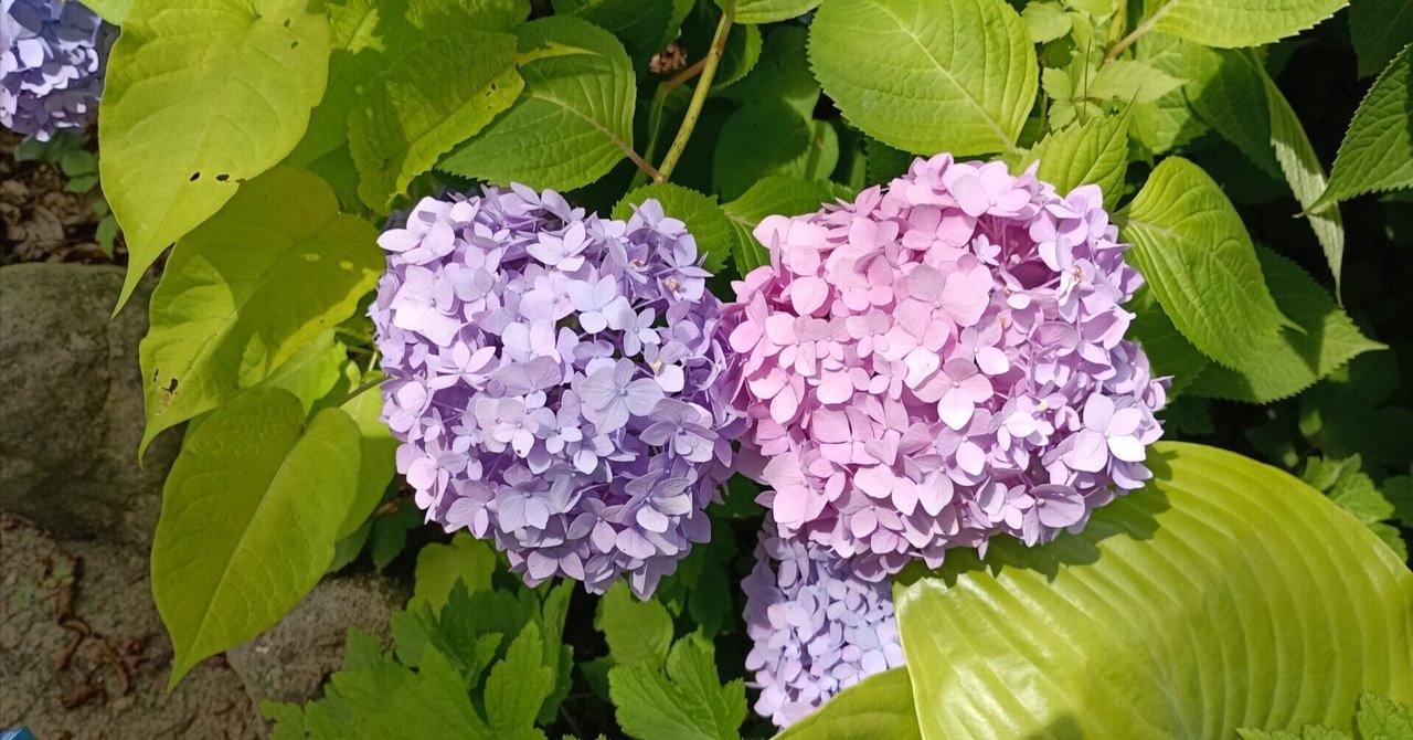 まず脳をリラックス｜葉音haon