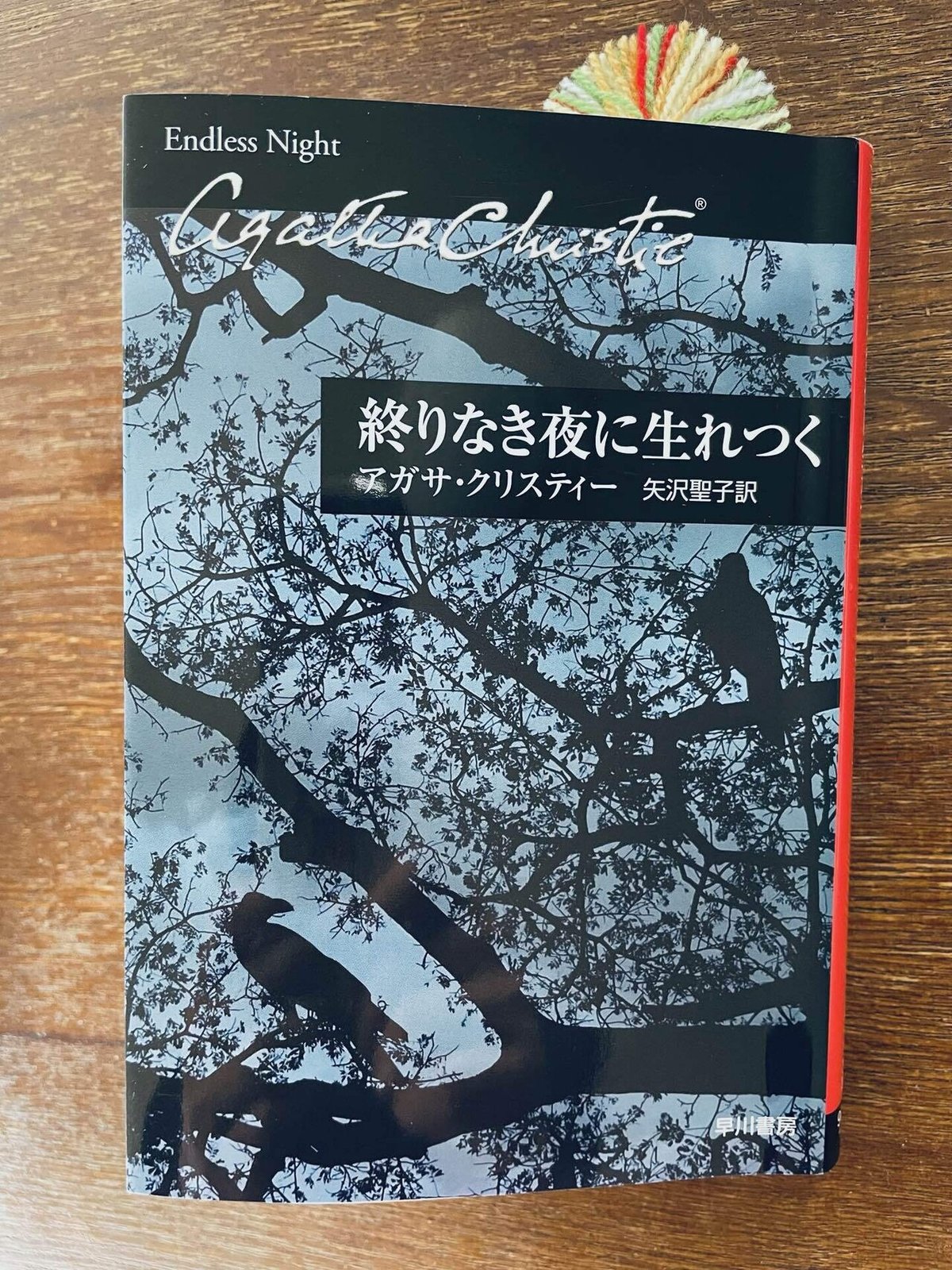 『78日間トランサーフィン実践マニュアル』実践チャレンジ【43日目】ビジュアライゼーション“楽しい”｜Meijia