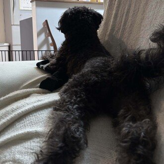 miki_sosuke0730｜note