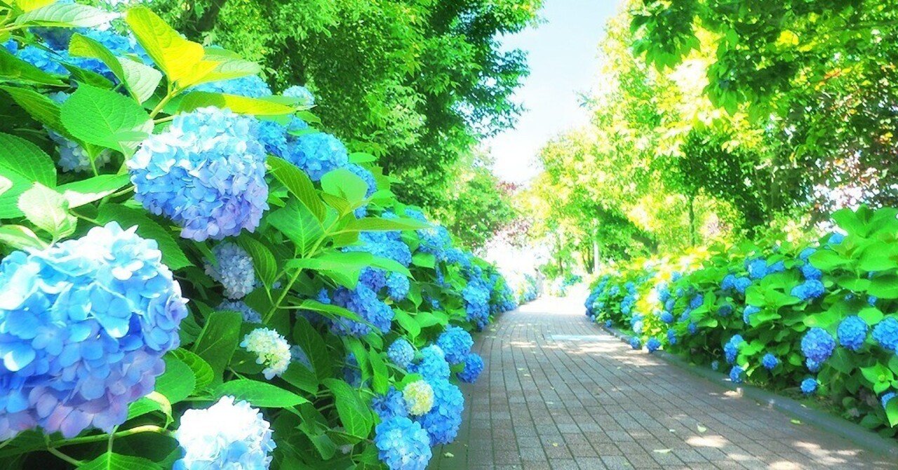 Ni＋Ne補助機能INTPの仕組みを紐解く【WAIS】【心理機能】｜miku