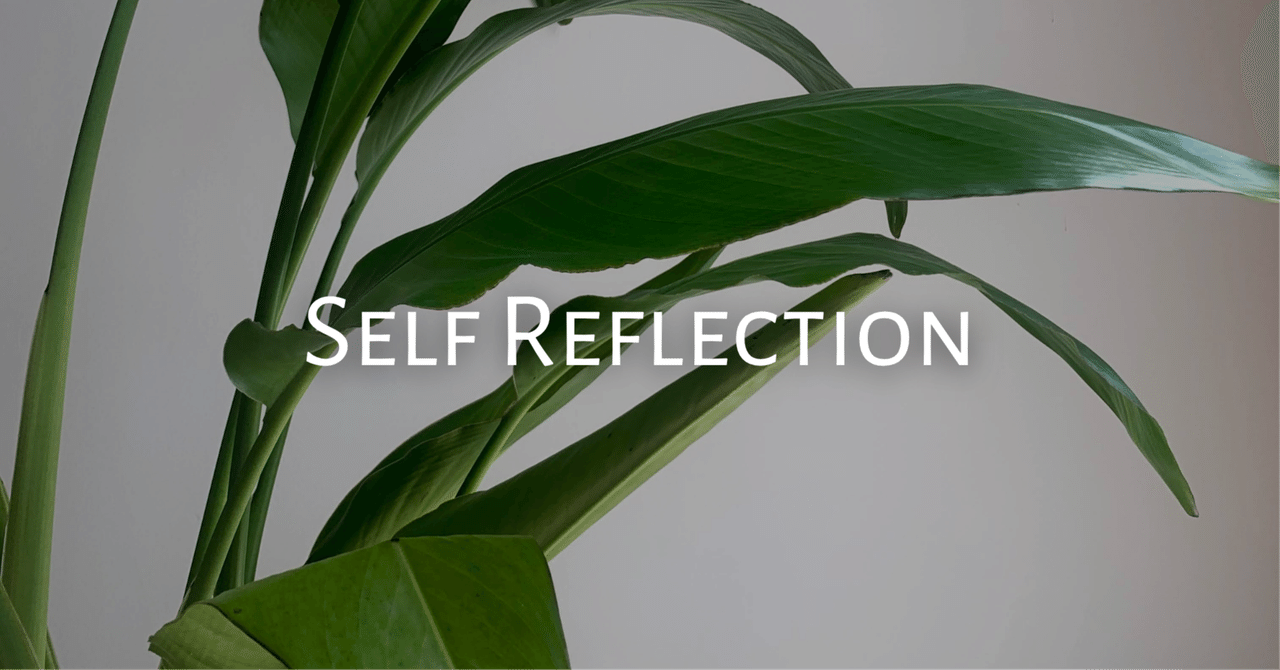 自分と「向き合う」って、辛いこと？｜Ainess Coaching｜ライフコーチえり