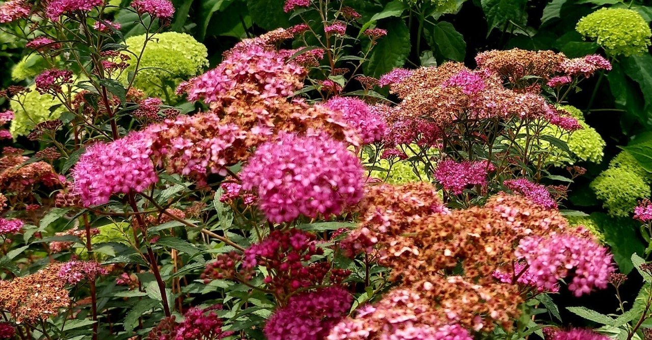 【今日6月14日(土)おうし座♉オンリー占い】｜【おうし座♉オンリー占い】