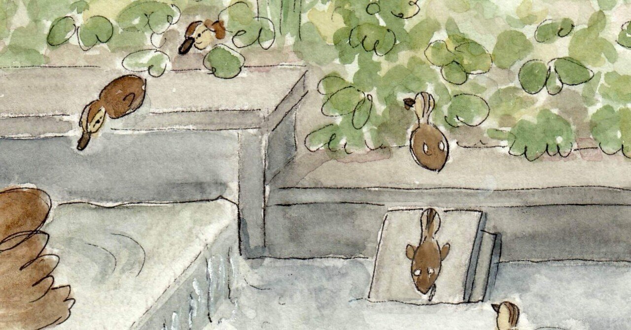 カルガモの親子 と OZ mall連載 第4話のお知らせ｜PitchPotch（ぴちぽち）