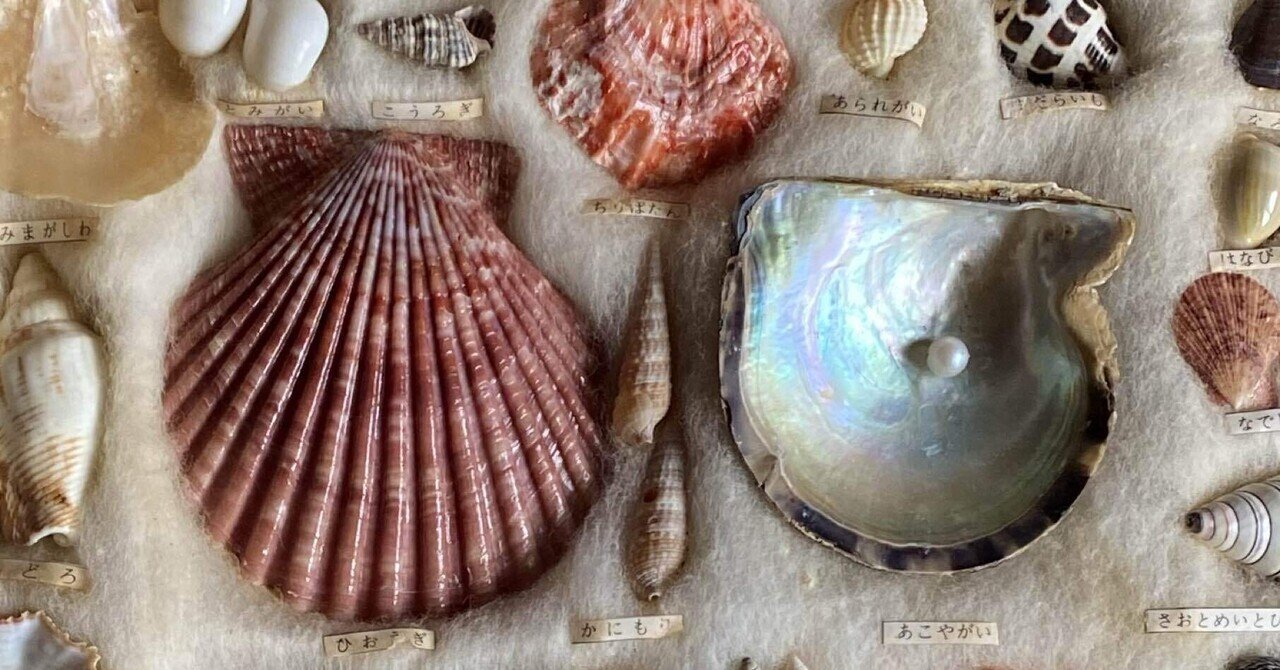 実家に眠る昭和の小物 #003｜wacha-rin