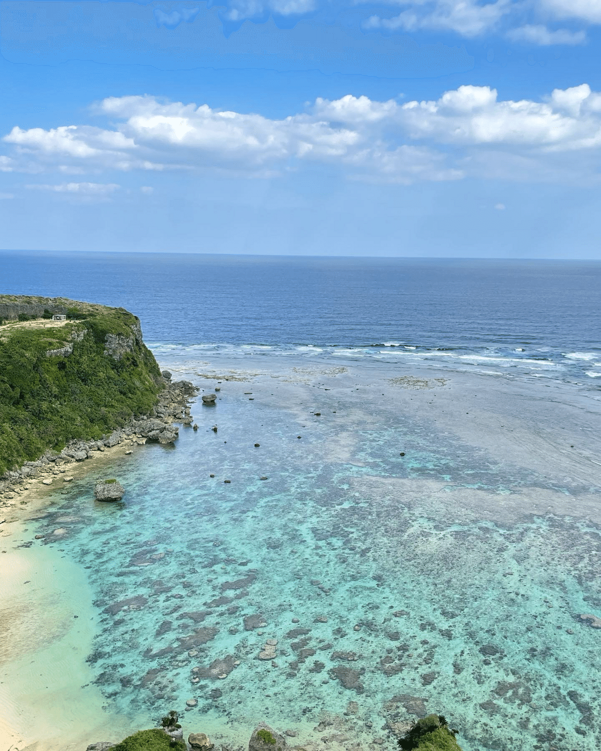 私の基本のシェディング対策｜Shokky