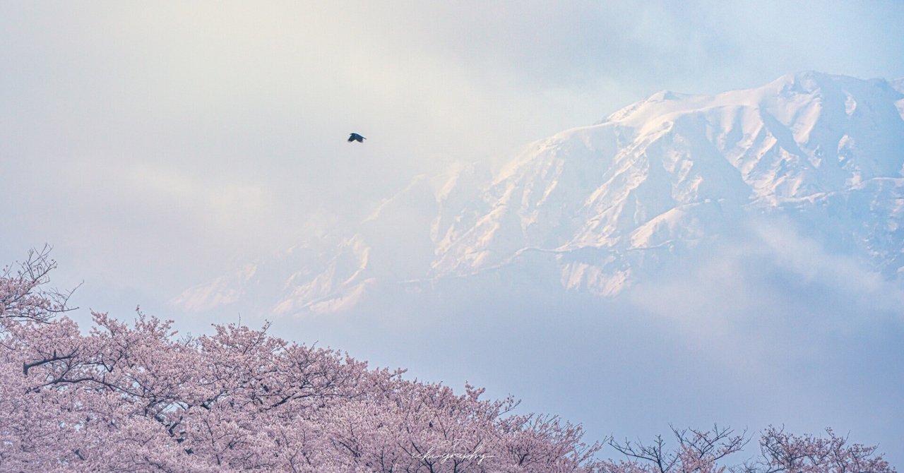【写真掲載のお知らせ💁‍♀️】｜ichi_graphy