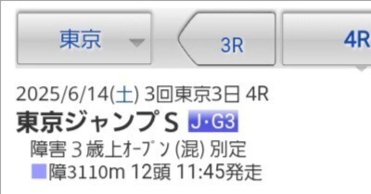 6/13(土)東京4R 東京JS (無料公開)｜OK