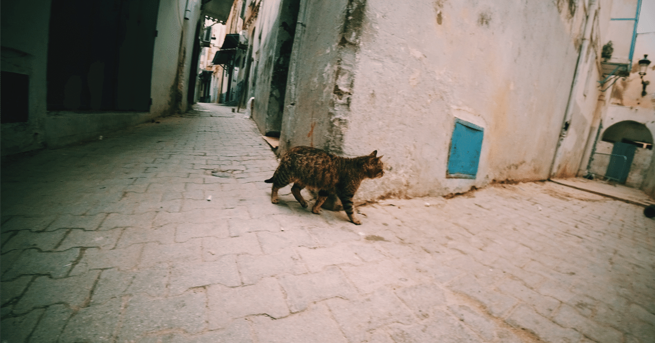 死亡保険金の受取人がいない場合、お金はどこへ行く？｜三毛猫Calico @ FP