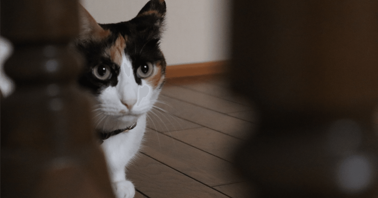 効率ばかり追いかけて、大切な何かを見失っていないか？【記事要約】｜三毛猫Calico @ FP