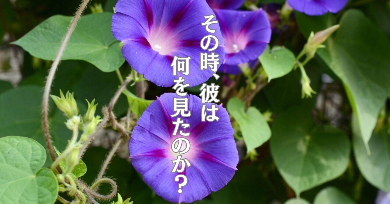 枯れた朝顔の謎。｜Mackey