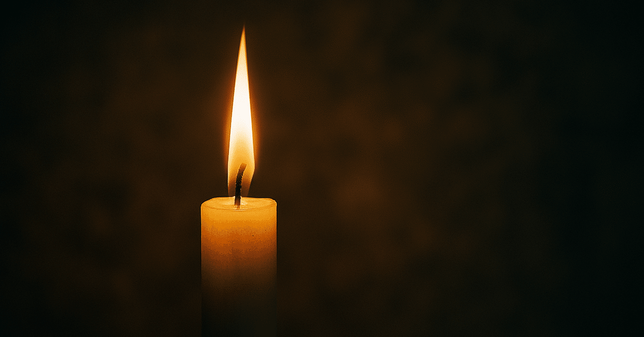 『なんも見てないっすよ』 ｜hidane-io