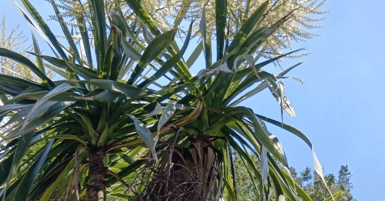 Node.jsのバージョンアップグレード方法・手順を解説｜blue06_2022