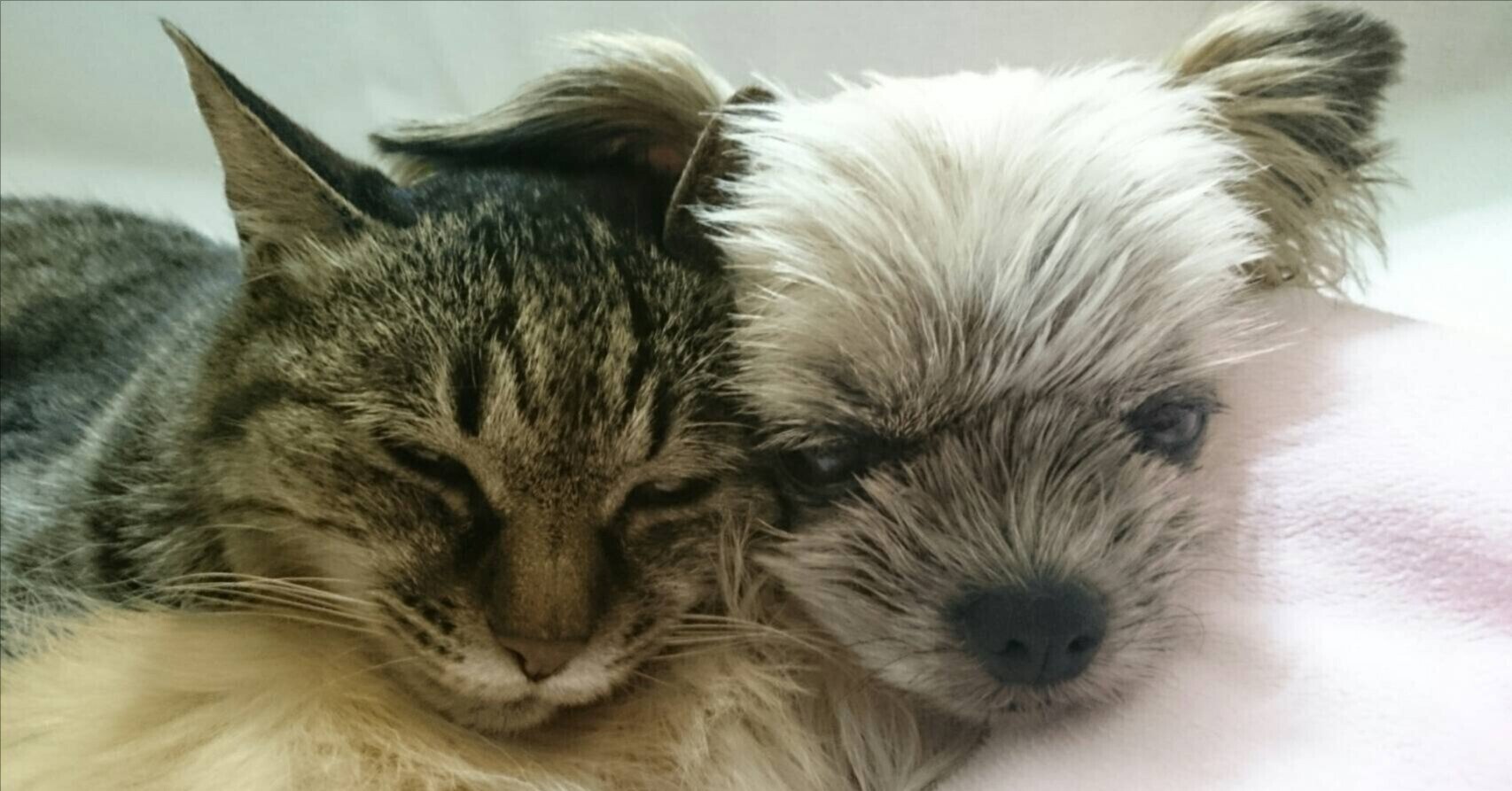 Have a good day｜note