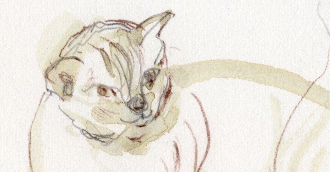 猫じゃらしズム ロス暴動は平和的？｜仁吾巴 妍 niaha ken