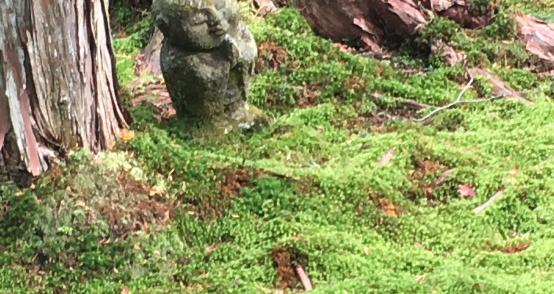 自己紹介（過去、現在、未来）｜tamo-yan｜note