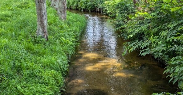 UNWIND&KOMOREBI｜note