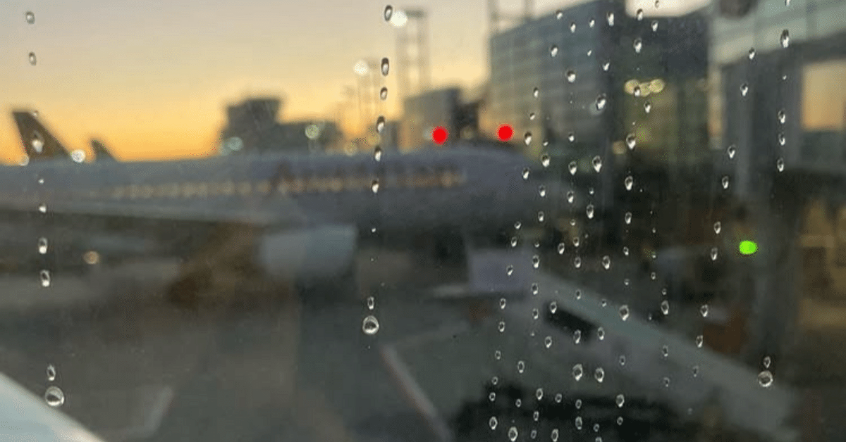 【中学英語文法シリーズ⑳】「所有格」｜liyin_eigo