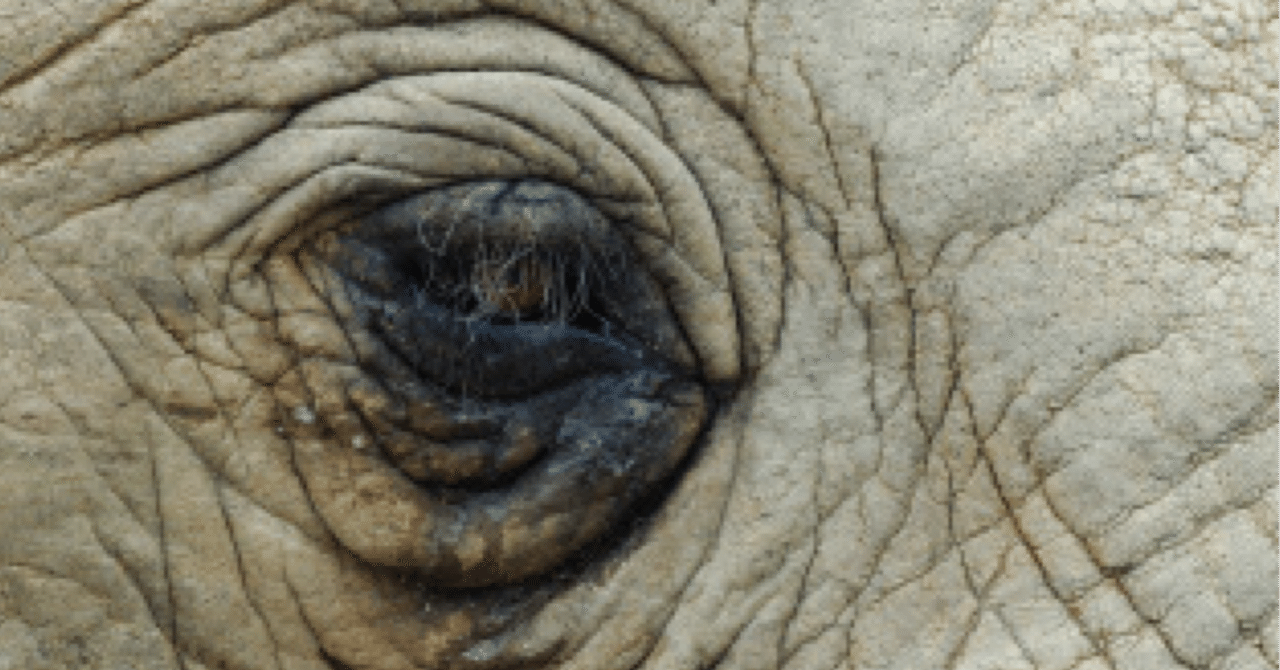 我、潤潤す｜ichi_saku