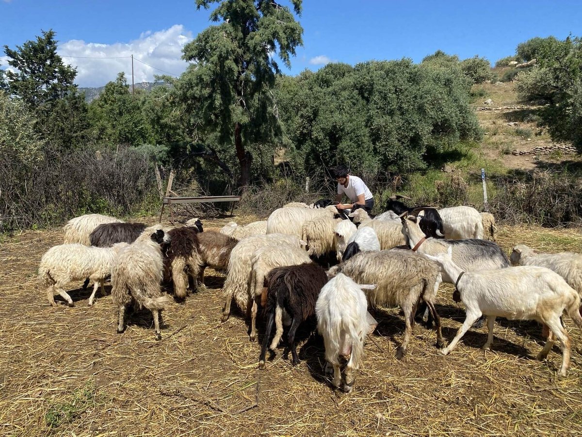 2025年5月サルデーニャ①｜城 拓 / Hiroshi Jo