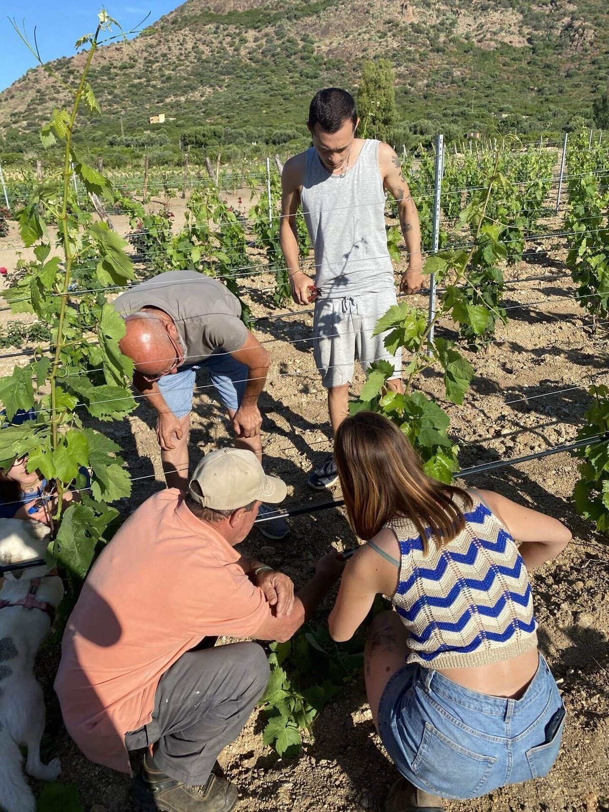 2025年5月サルデーニャ②Costa Rey｜城 拓 / Hiroshi Jo