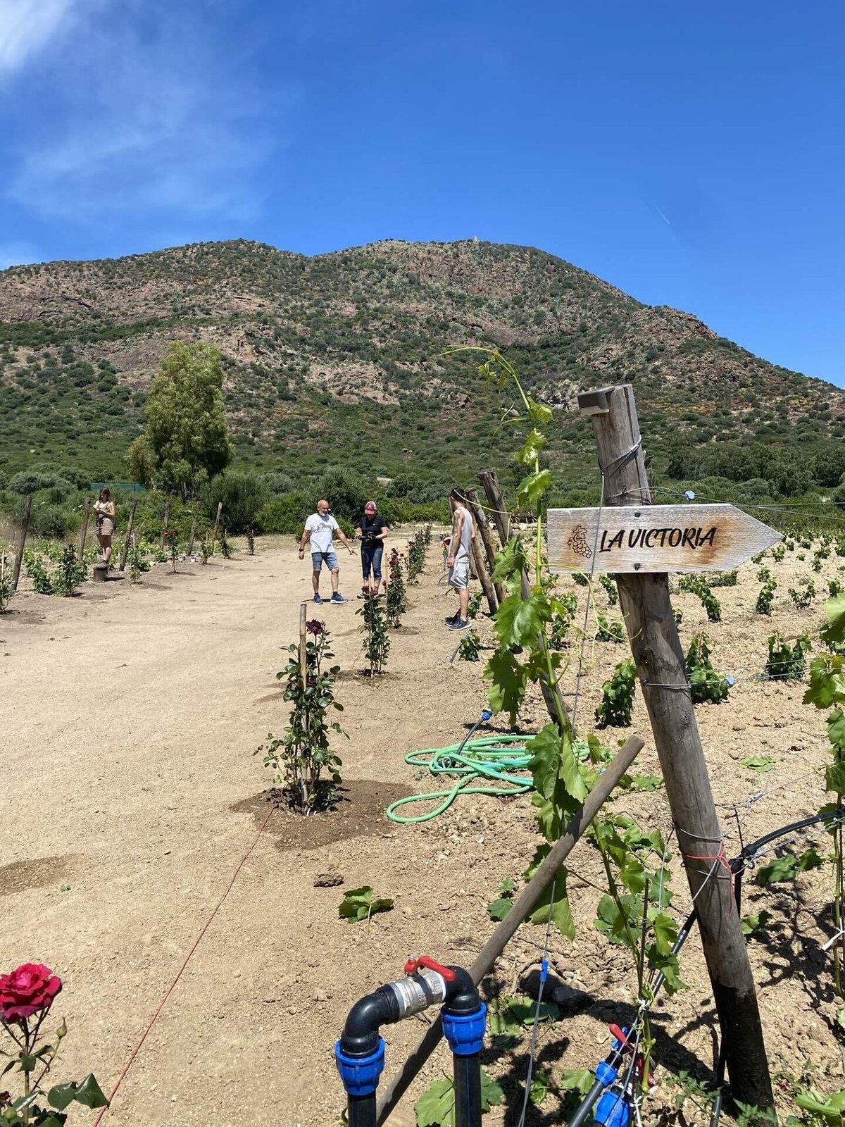 2025年5月サルデーニャ②Costa Rey｜城 拓 / Hiroshi Jo