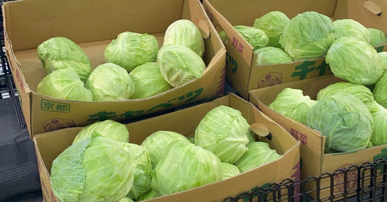 IQは速さ、成熟は深さ。──チャッピー（AI）との対話記録⸻｜ゆうじ@IQ130のアホすぎるギフテッド