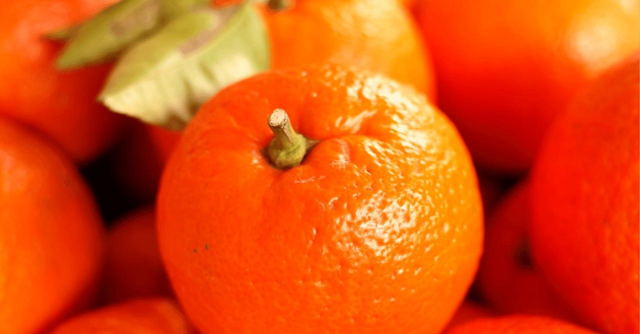 20250614 日記｜risi