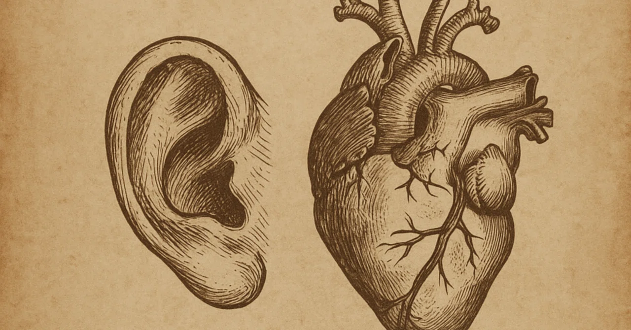 The Shape of Shame― Why the Ear Meets the Heart to Become Shame ―｜イヤーハート