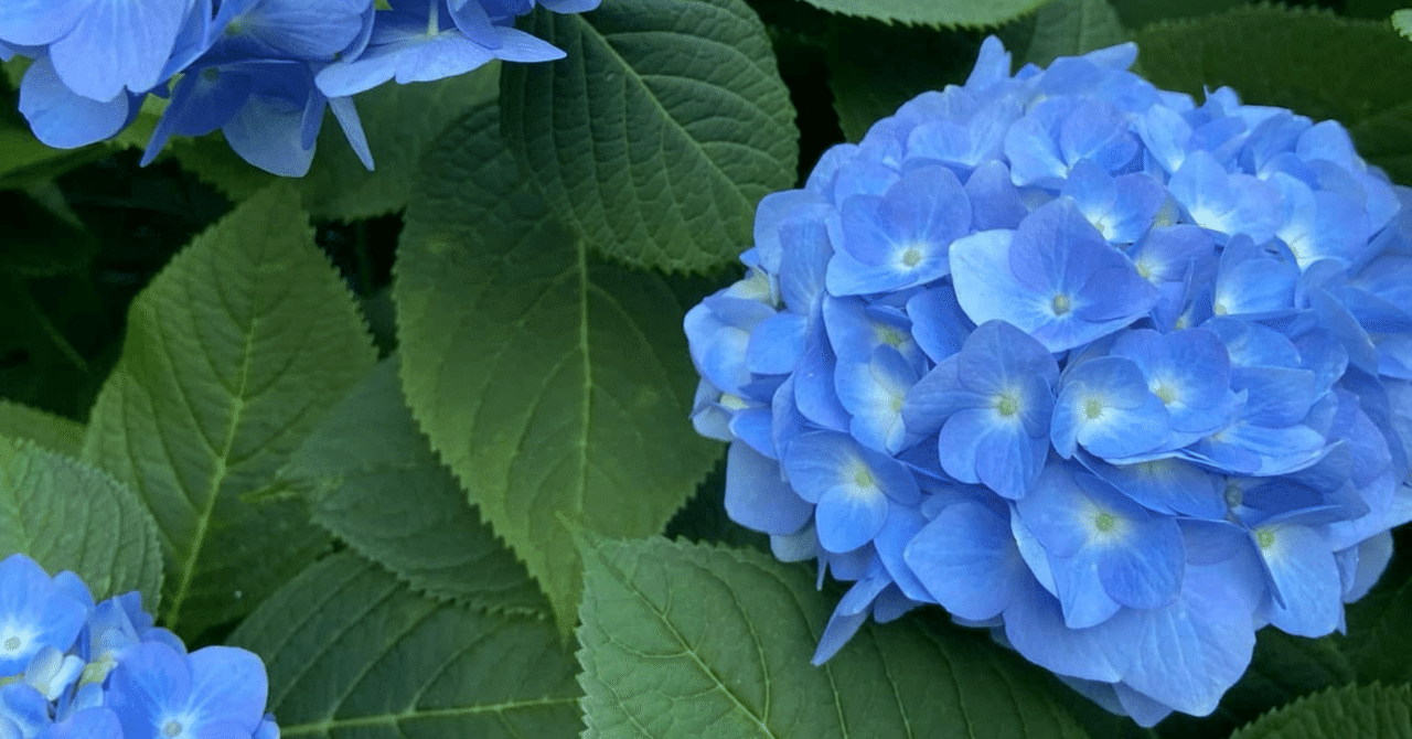 Scala 3.6.3 update｜blue06_2022