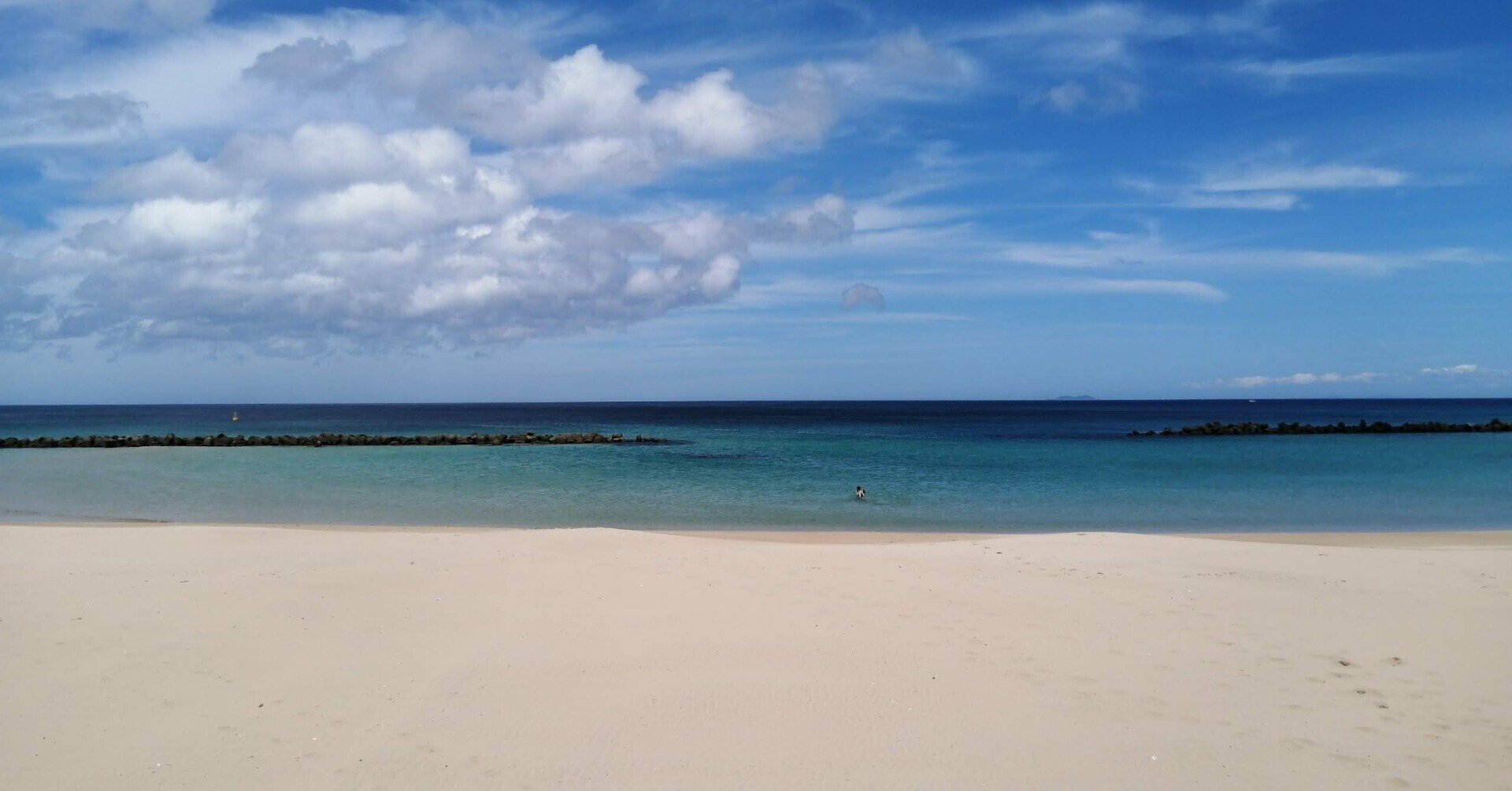 peacecaravan__yuuki｜note