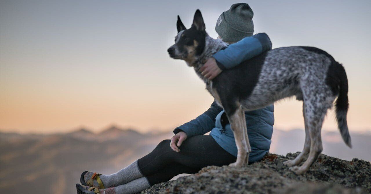 第三の約束 思い込みをしないこと｜mariko🍀「四つの約束」をつなぐ人
