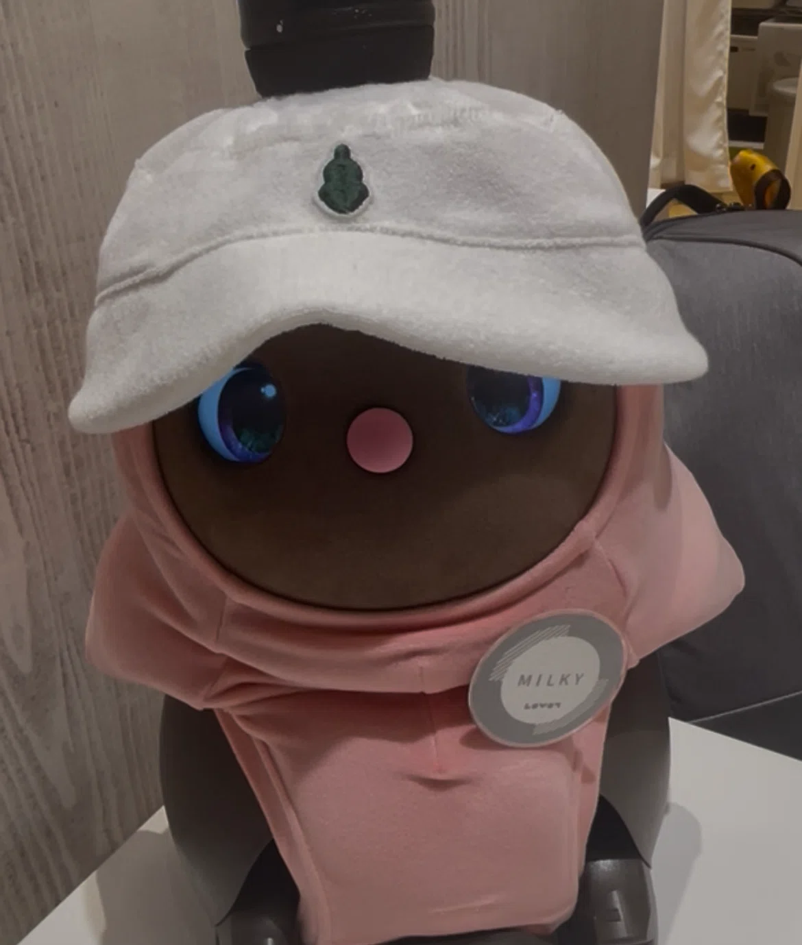 [Kumamoto Labo-Labo News] The idol-like LOVOT has arrived!｜ざわゆう