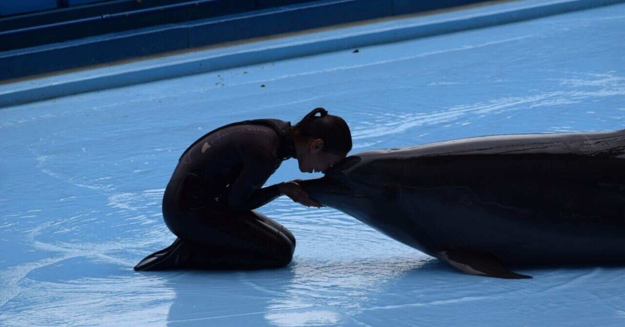 アドベンチャーワールド｜hatahata_dayo