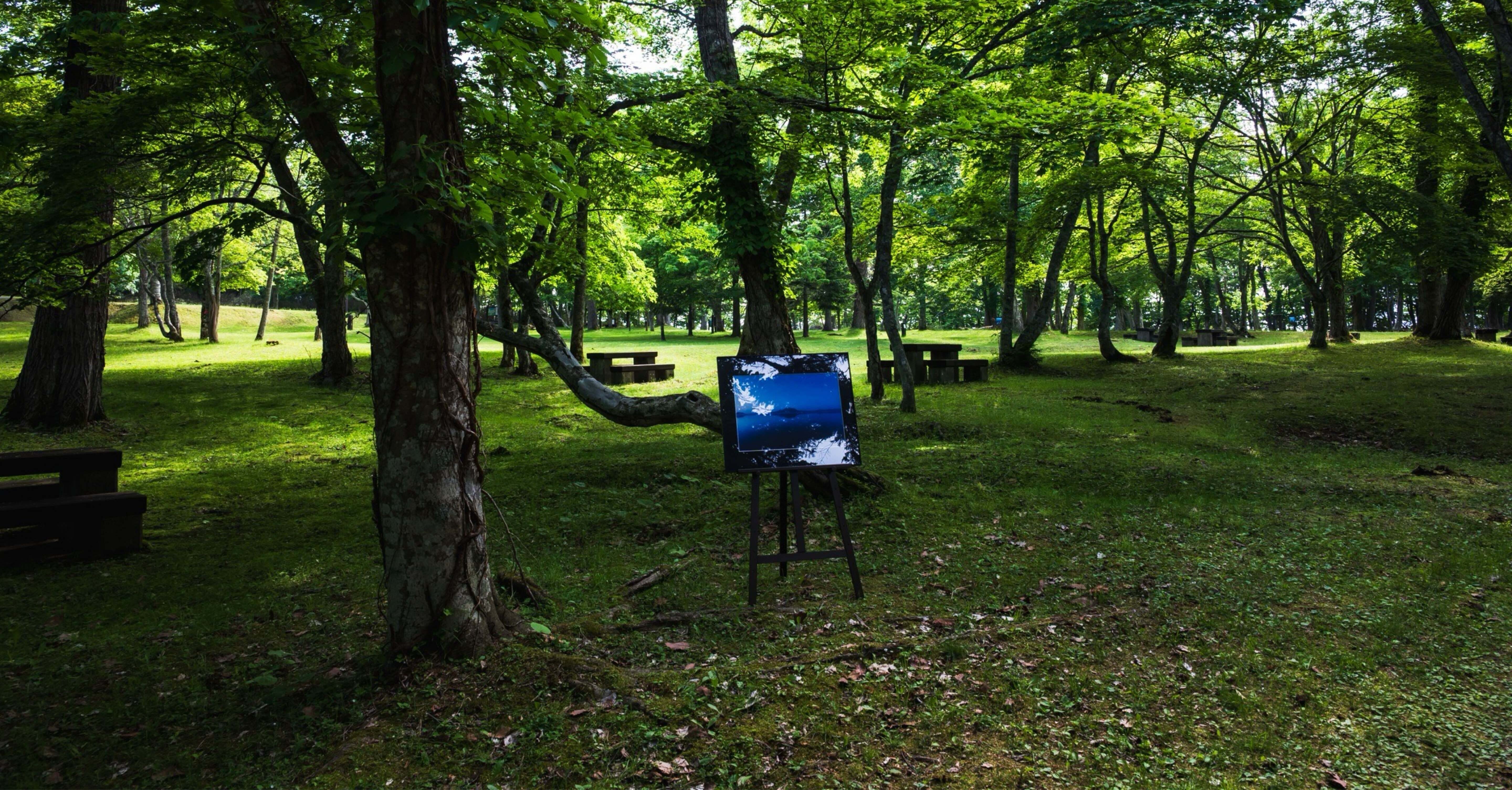 AOIMONO｜yusaku matsumoto｜note