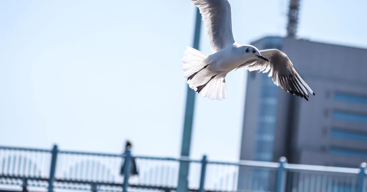 30歳バツイチ独身男性は最後に羽ばたいてみたい｜azking