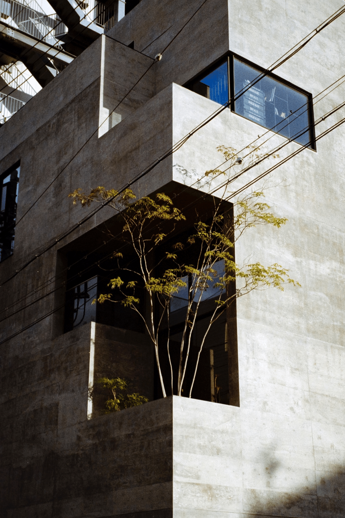 #013 写真解剖日記｜rikuto murakami / 村上陸斗