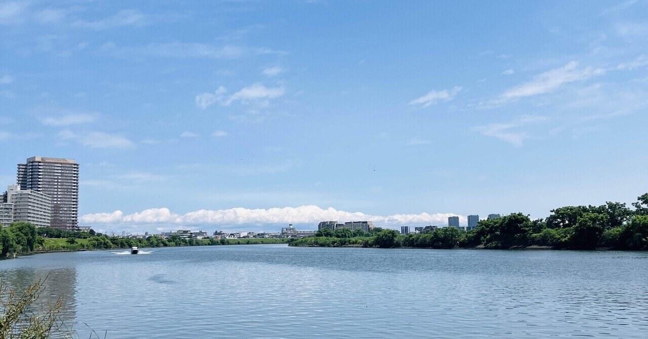 2025.05 monthly’s note｜YUCCA