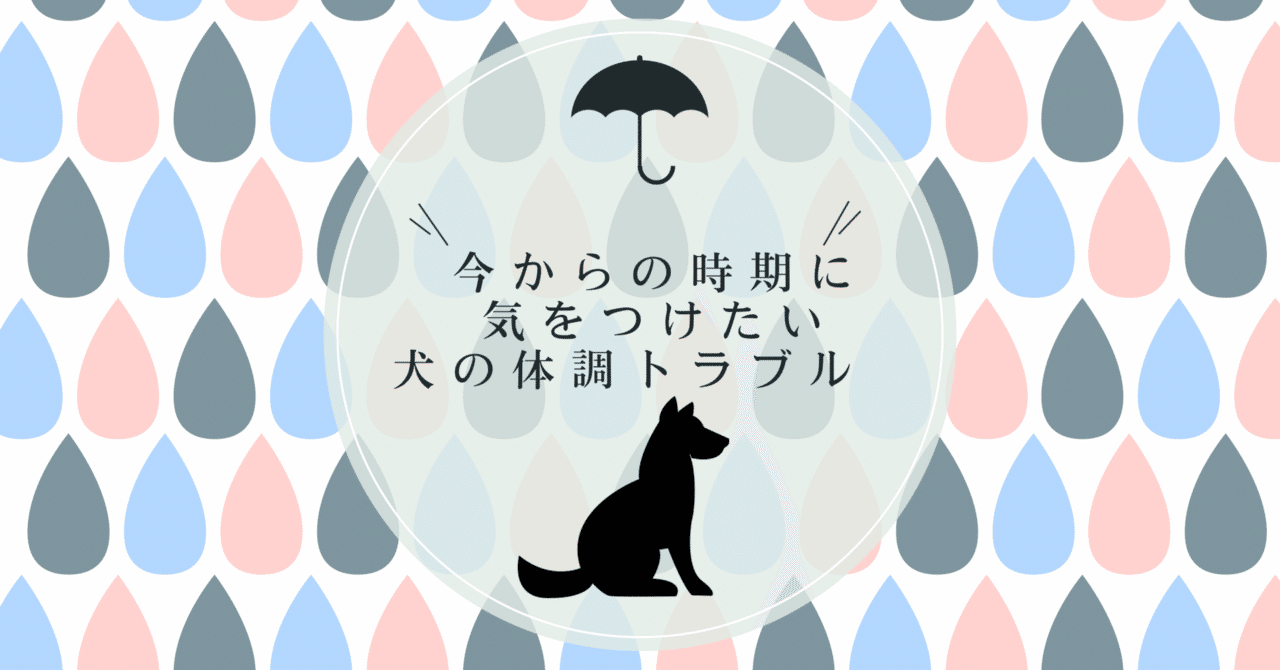 今からの時期に気をつけたい犬の体調トラブル｜Moco pet note|動物看護師資格もちのペット知識ノート