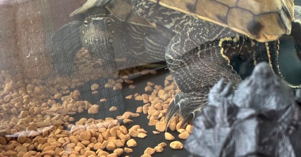 清水 貴裕（Takahiro Shimizu）｜note